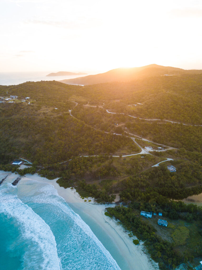 El Yunque: Wanderung durch den puerto-ricanischen Regenwald