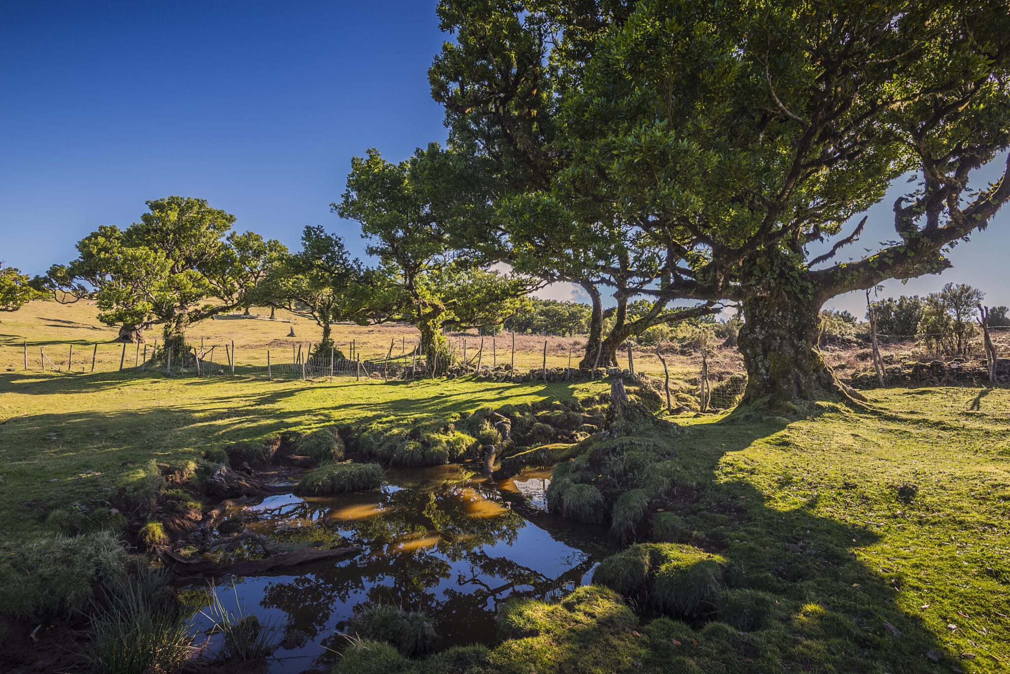 Madeira – die Top 10 Tipps für die Insel | mampatravel